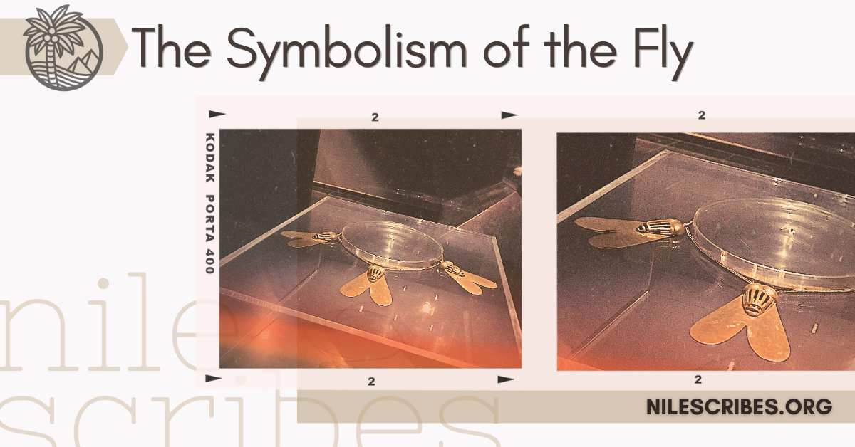 The Symbolism of the Fly in Ancient Egypt - Nile Scribes